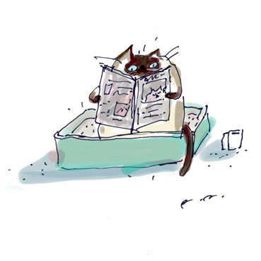 DCT103 - Multitasking Cat Greeting Card – shop.artecodesigns.com