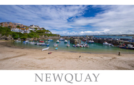 PCC728 - Newquay Harbour Cornwall Postcard – shop.artecodesigns.com